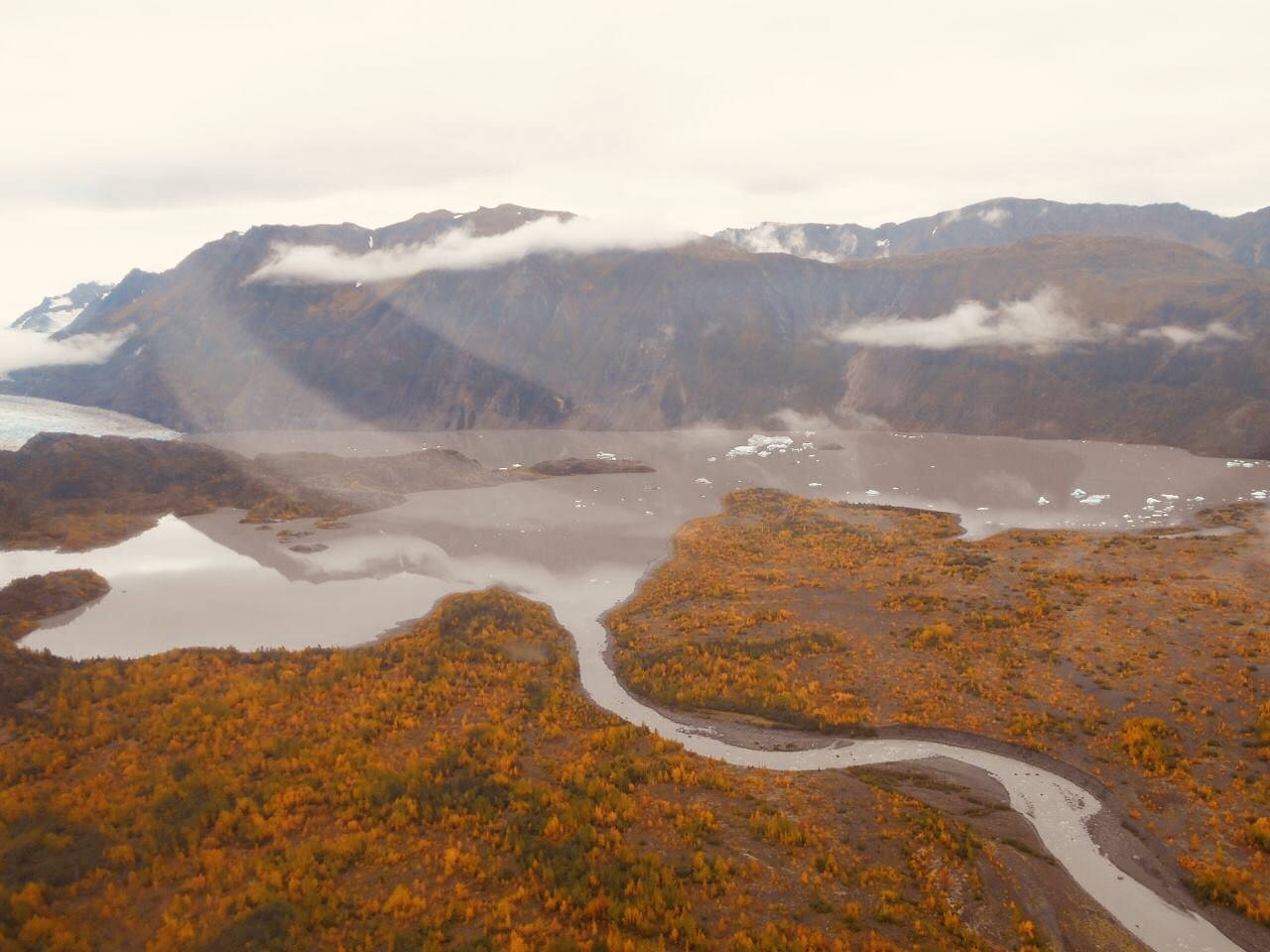 Autumn flying | Selbstwehr