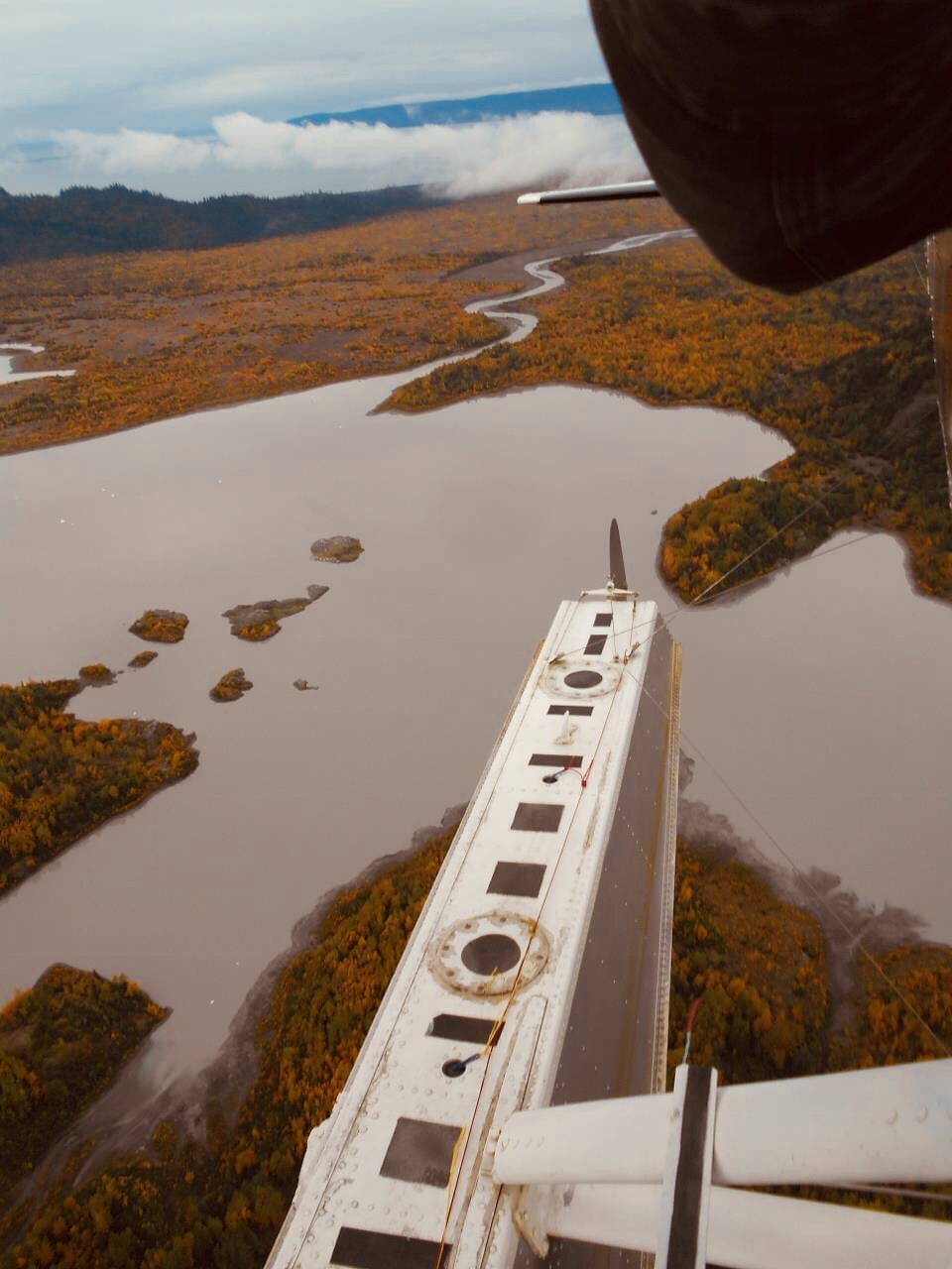 Autumn flying | Selbstwehr
