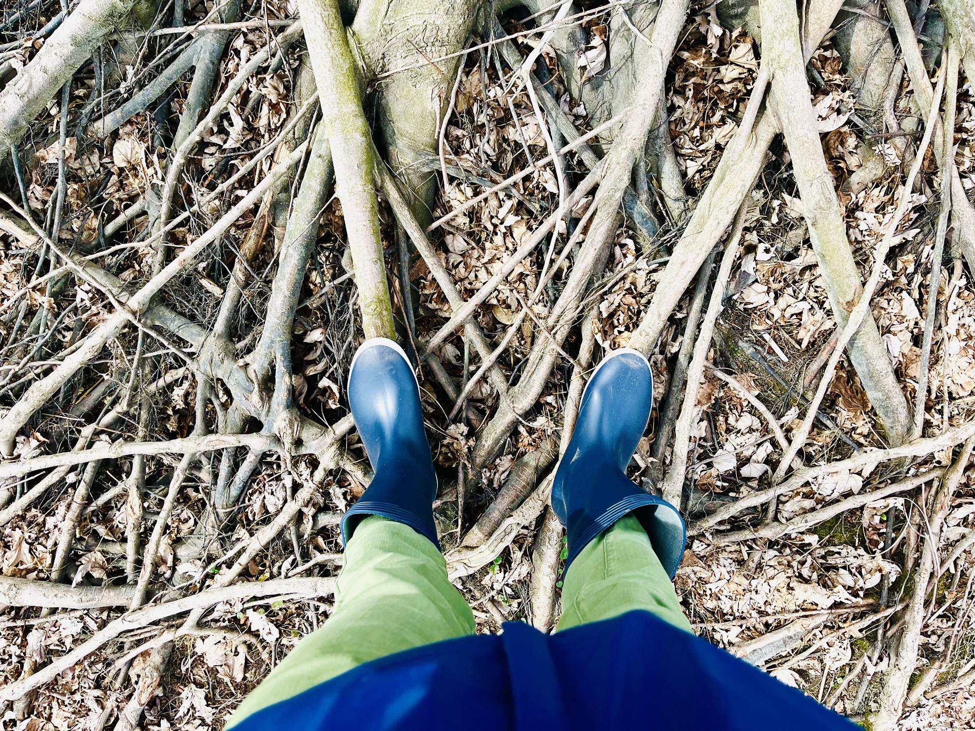 To the Roots | Selbstwehr