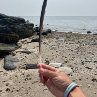 Blue world | Selbstwehr