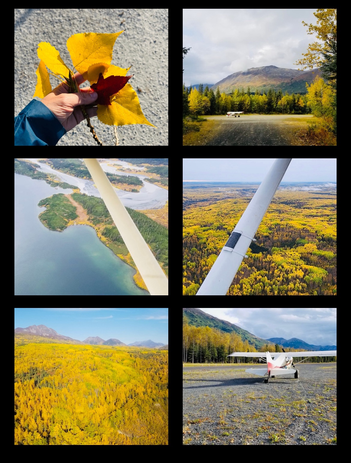 Autumn 5785 | Selbstwehr