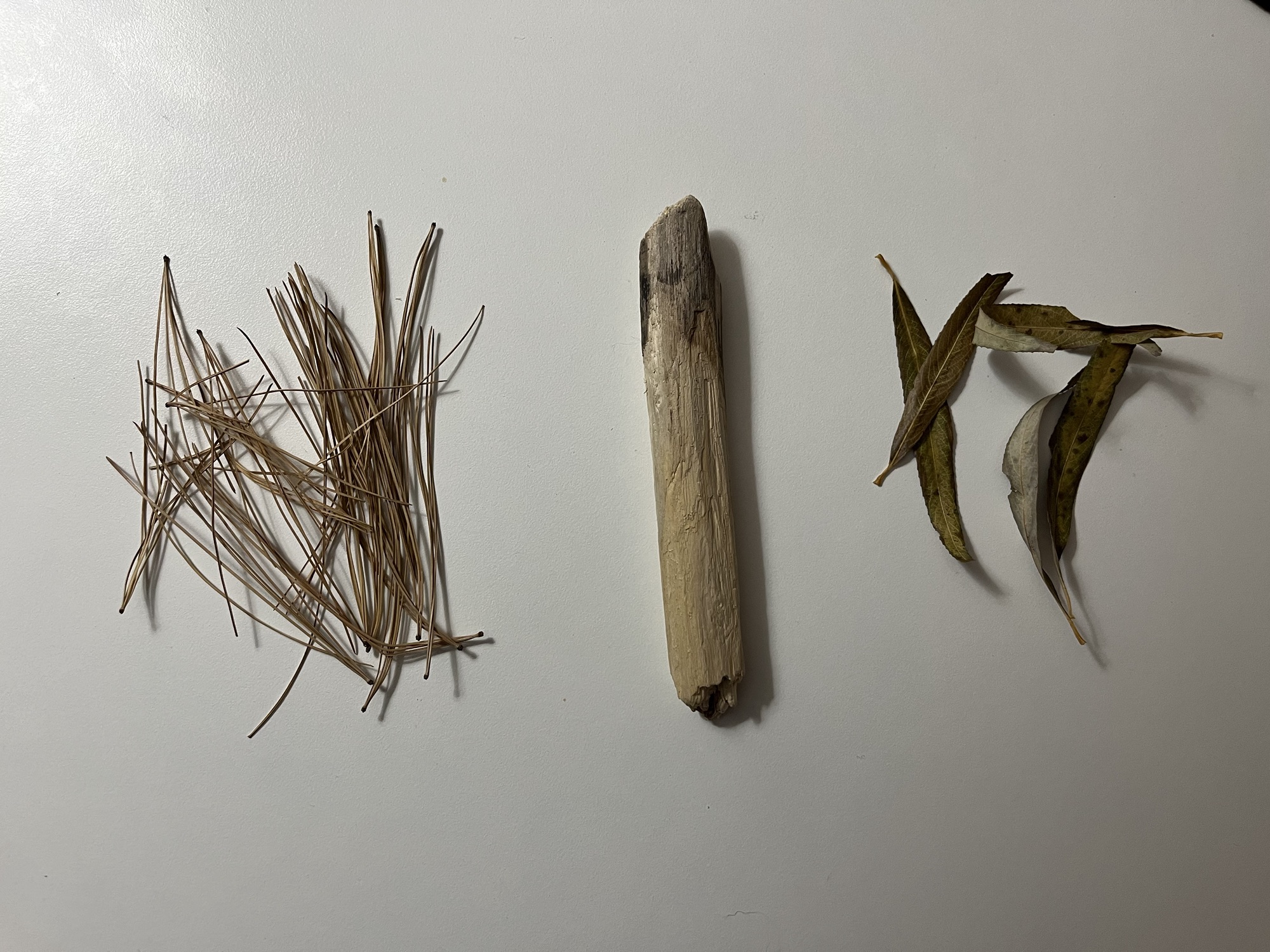 Selbstwehr | Art as self defense