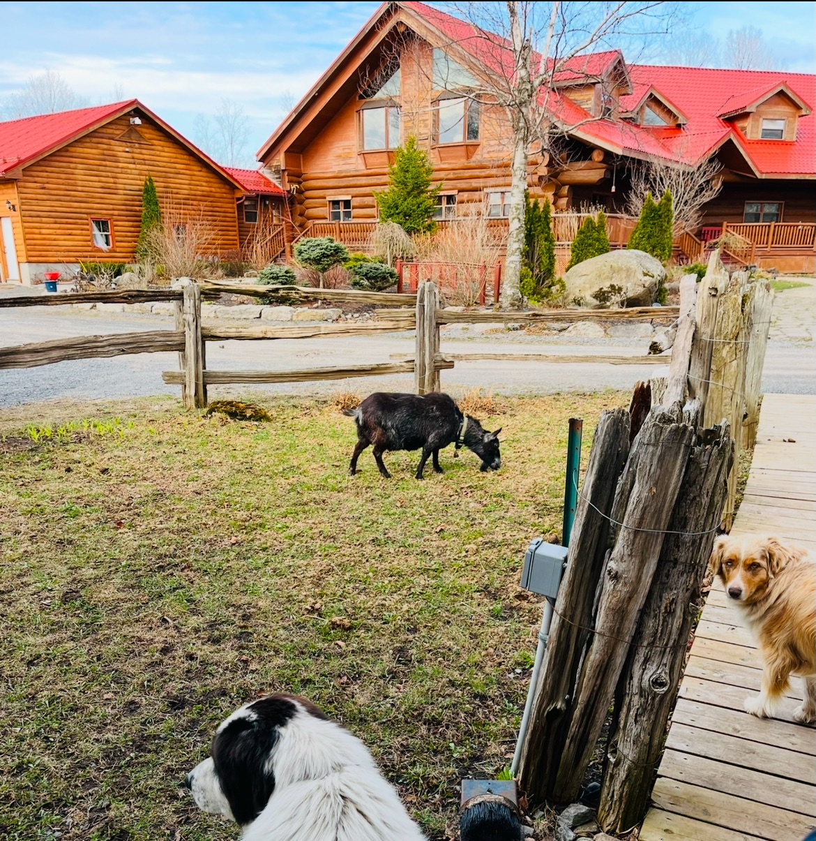 Selbstwehr | Art as self defense